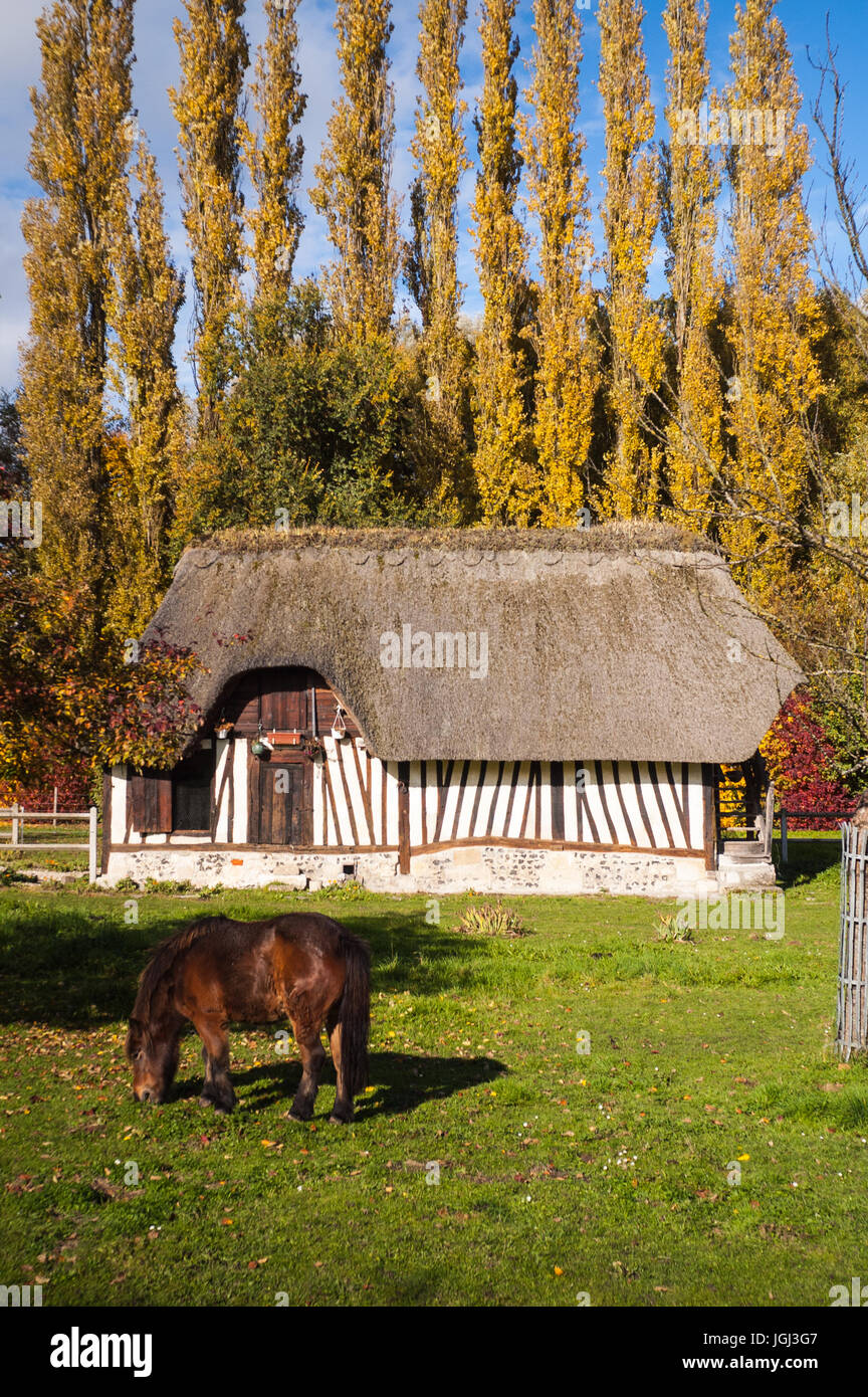 Half timbered thatched cottage hi-res stock photography and images - Alamy