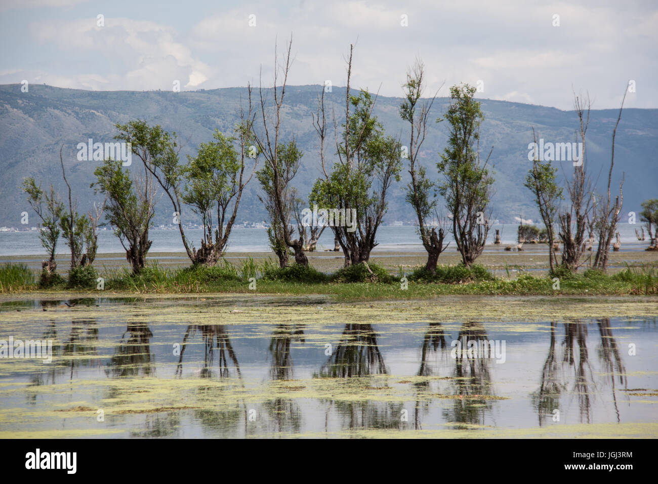 Dali, China, Yunnan, Kunming, landscape and life Stock Photo - Alamy