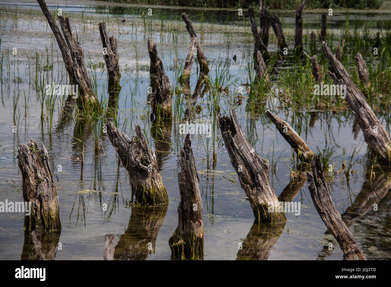 Dali, China, Yunnan, Kunming, landscape and life Stock Photo - Alamy