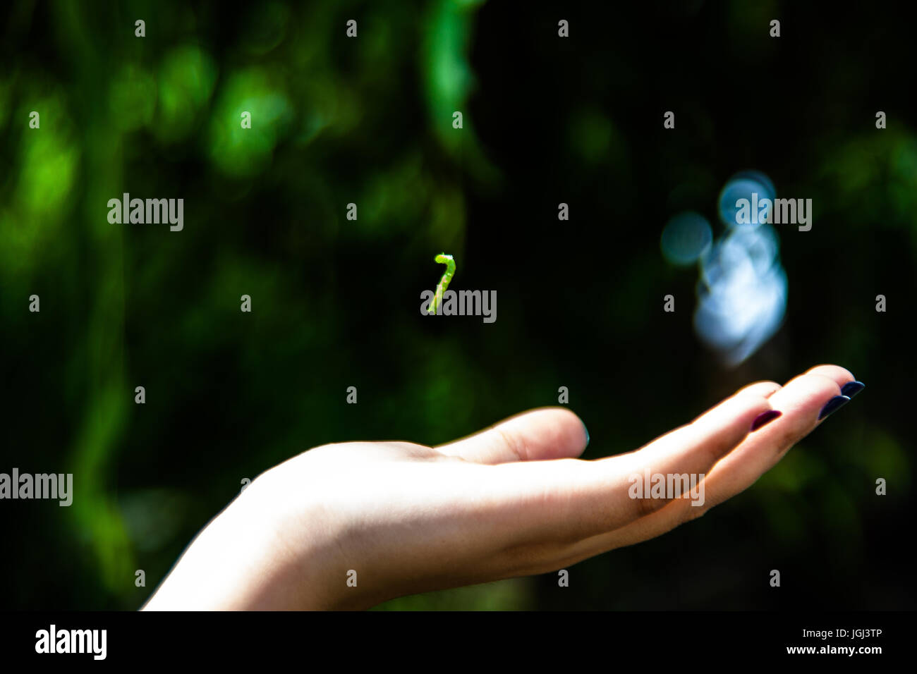 Dali, China, Yunnan, Kunming, landscape and life Stock Photo - Alamy