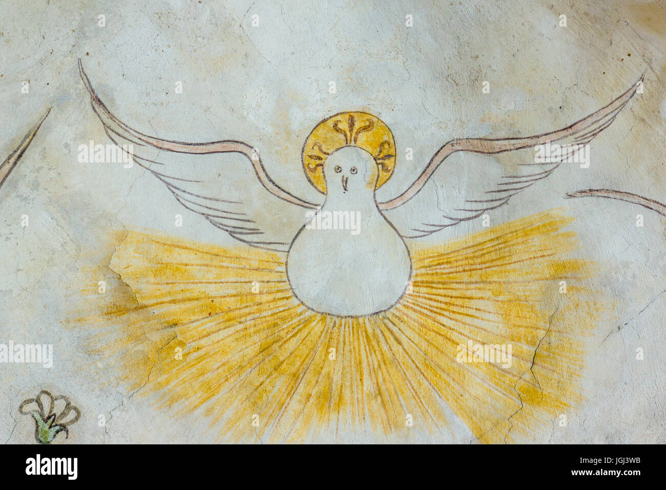White dove in the ceiling, an ancient medieval gothic fresco in ...