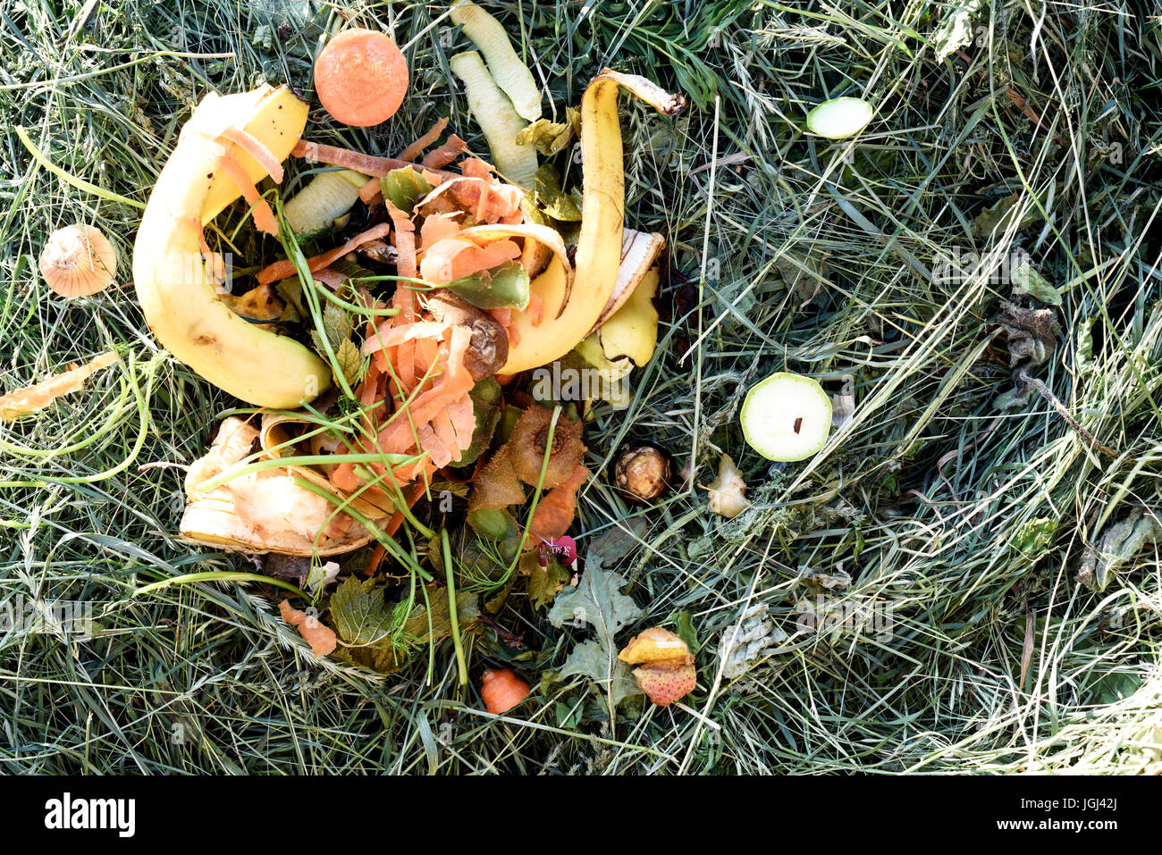 Leftover kitchen waste from a home deposited on a compost heap ...
