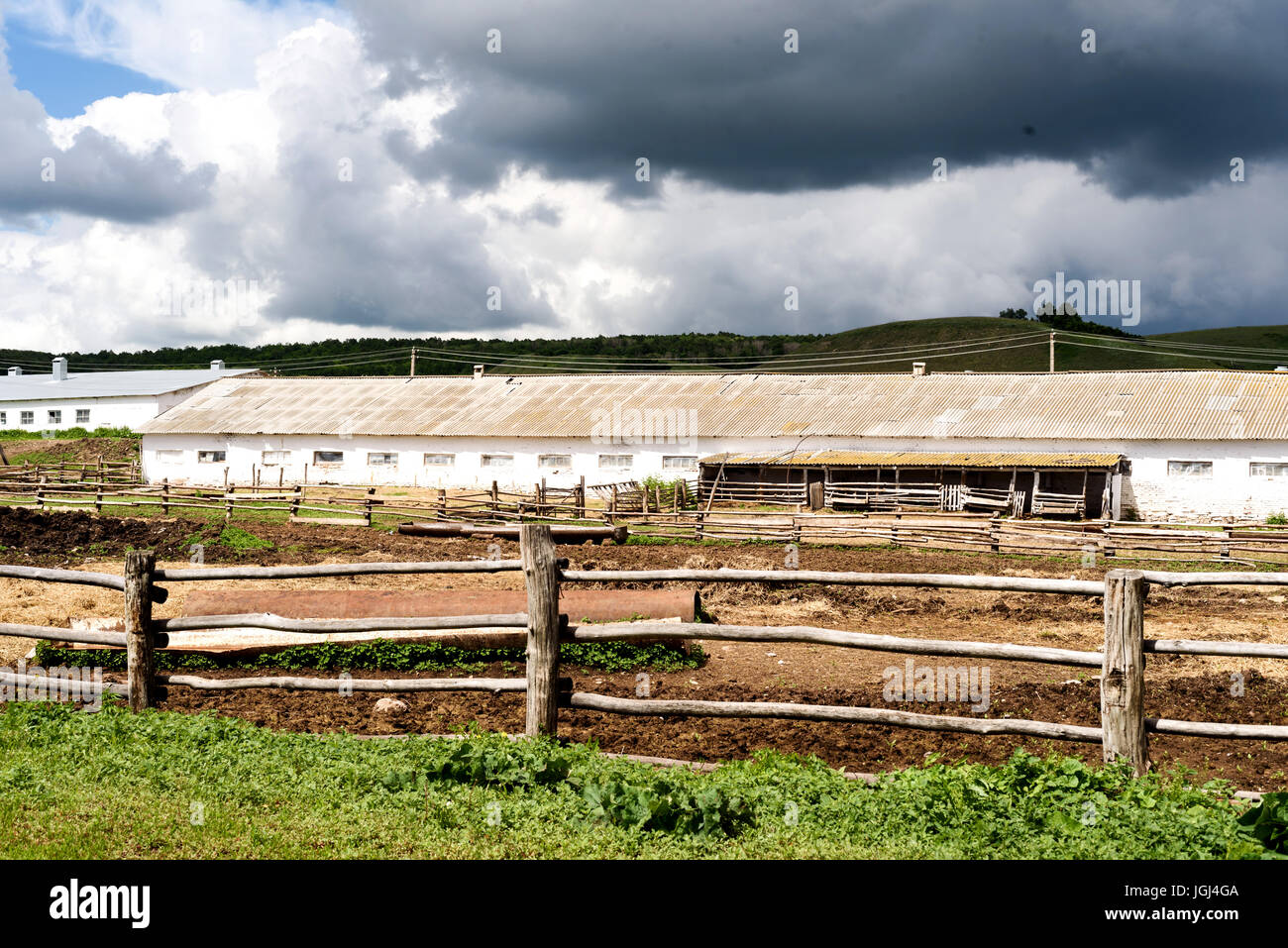 Rural farm buildings in Russia during the summer sun Stock Photo - Alamy