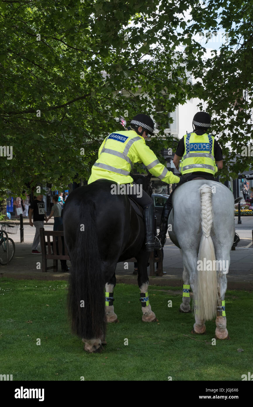 Mounted police on patrol in Cheltenham Stock Photo - Alamy