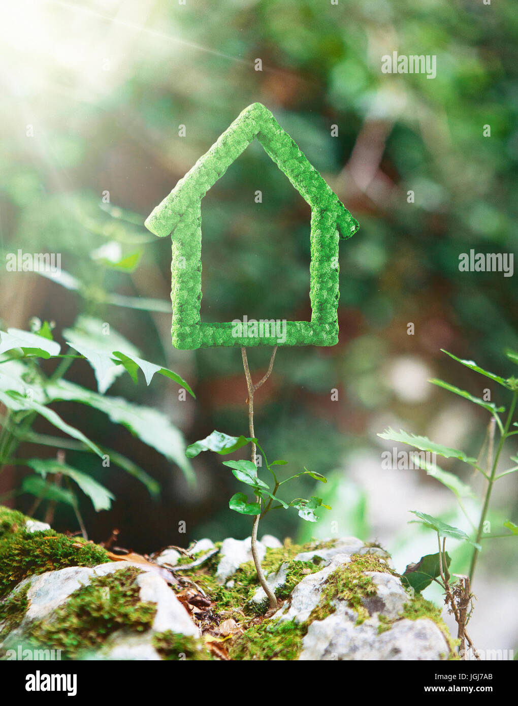 House made grass 3d render hi-res stock photography and images - Alamy