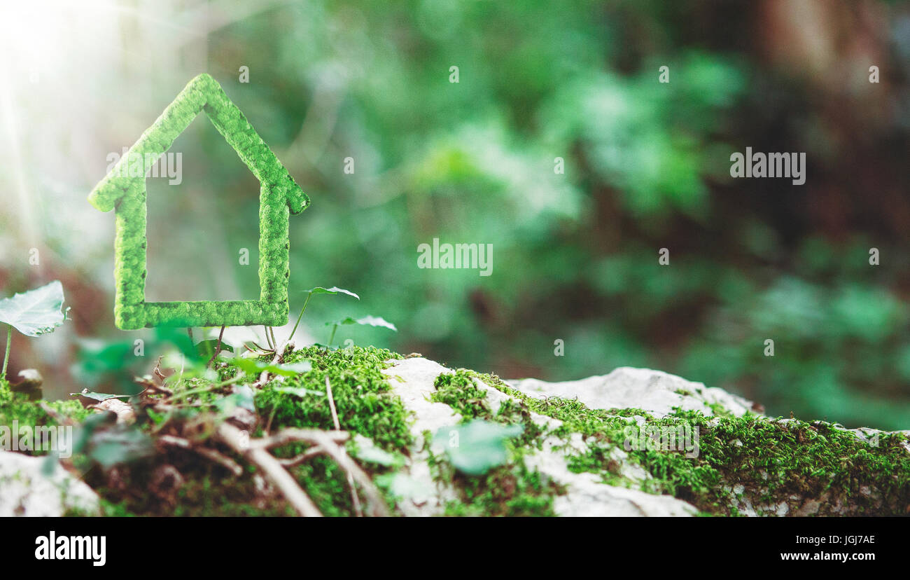 House made green grass hi-res stock photography and images - Alamy