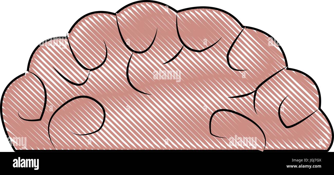 human brain idea innovation thinking memory Stock Vector Image & Art ...