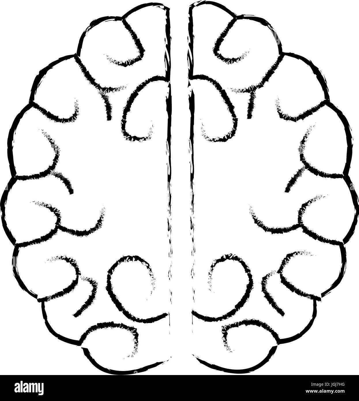 human brain idea innovation thinking memory Stock Vector Image & Art ...