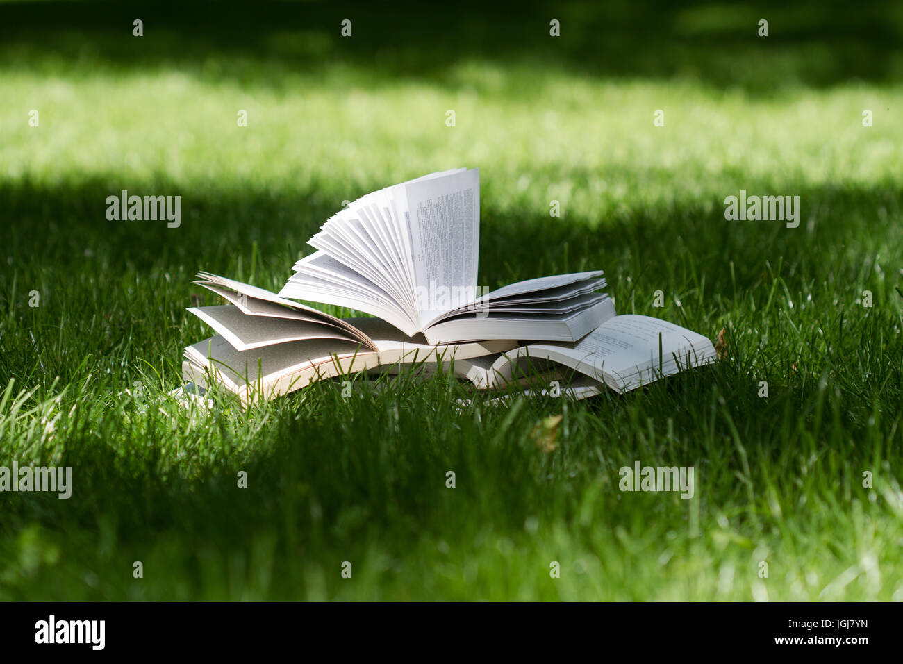 horizontal side view of many open books on top of each other standing ...