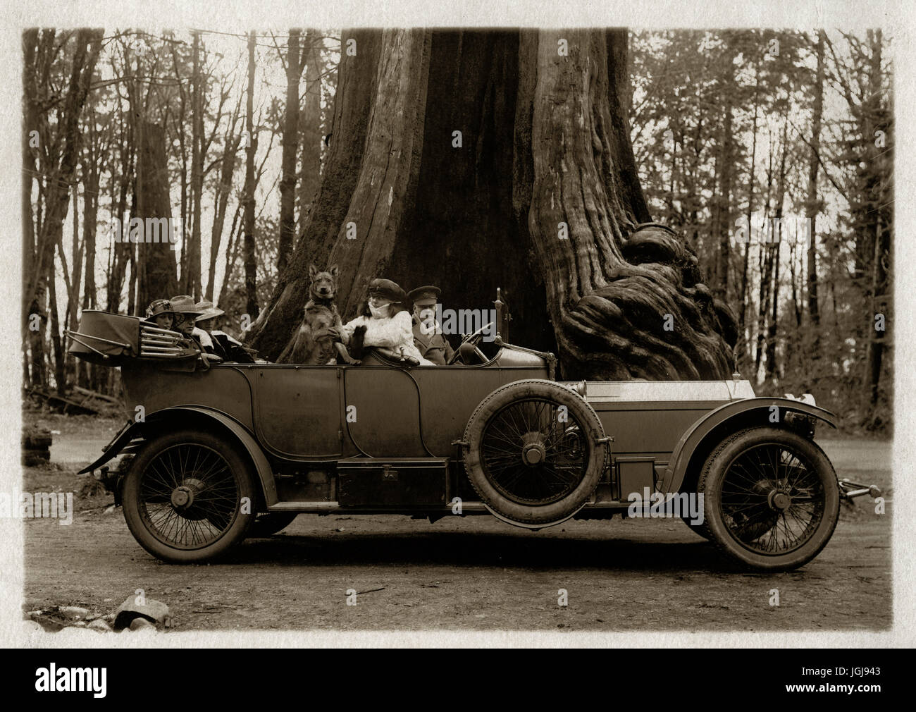 Wwi soldier hi-res stock photography and images - Alamy