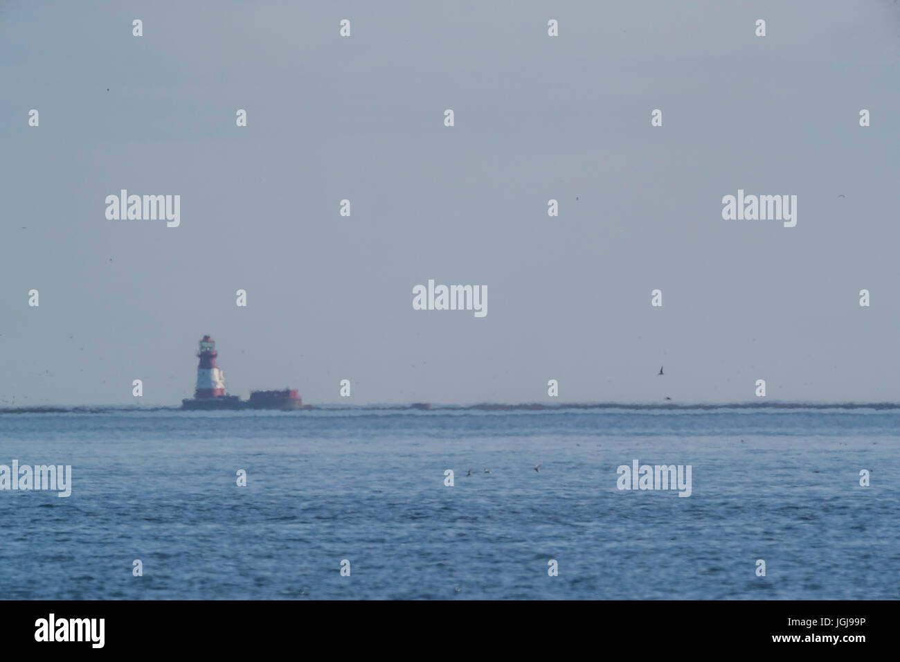 Longstone lighthouse. Farne Islands lighthouses Stock Photo - Alamy