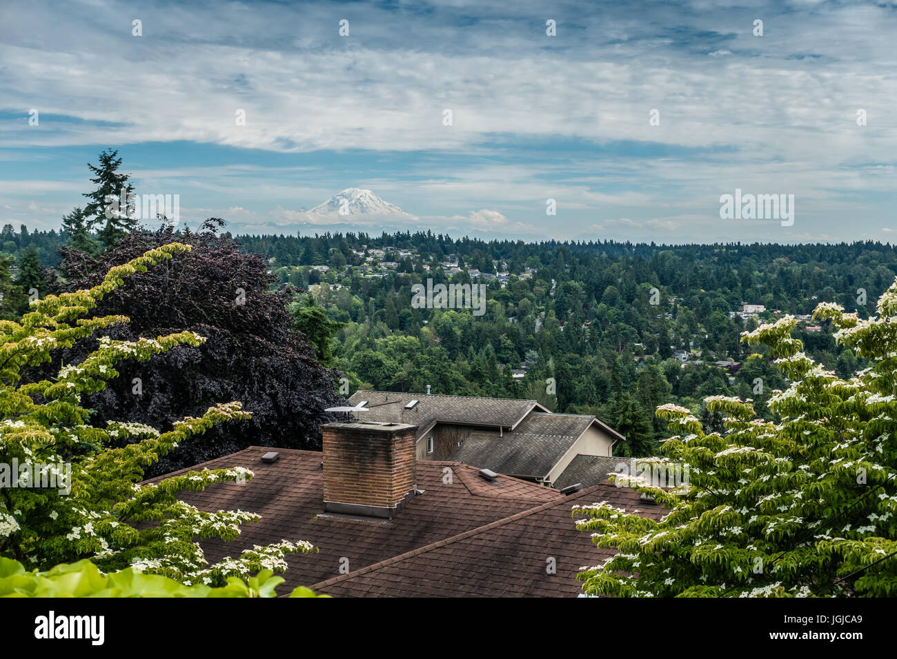 A view of Mount Rainier from Burien, Washington Stock Photo - Alamy