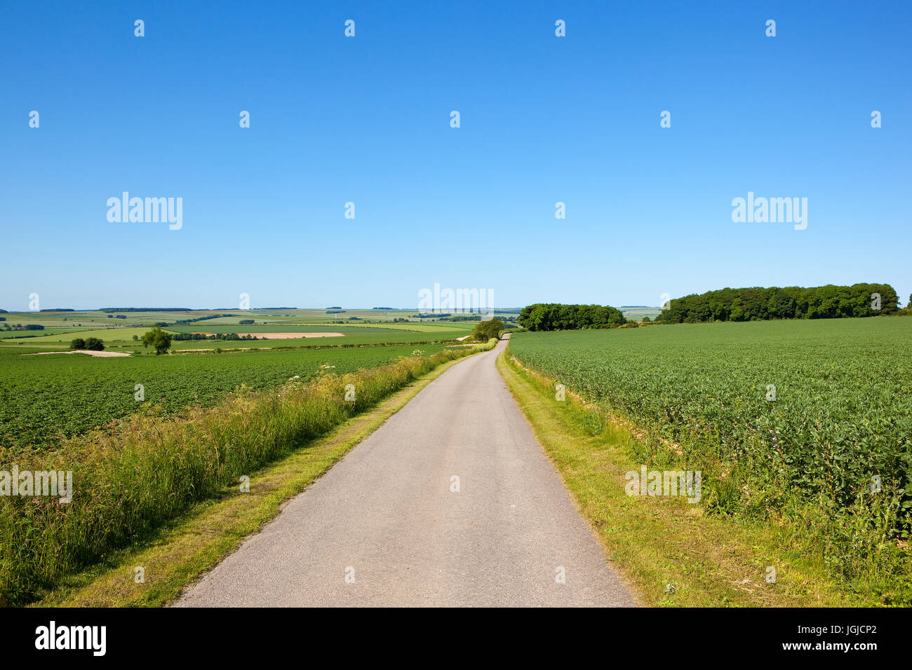 Patchwork road hi-res stock photography and images - Alamy
