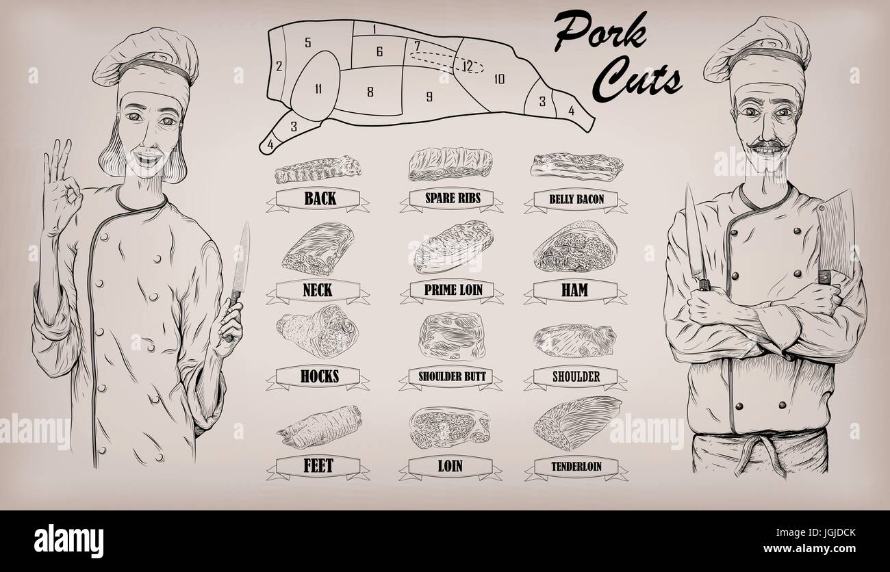 "Pork meat carcass cut chops info graphics scheme sign poster butchers ...