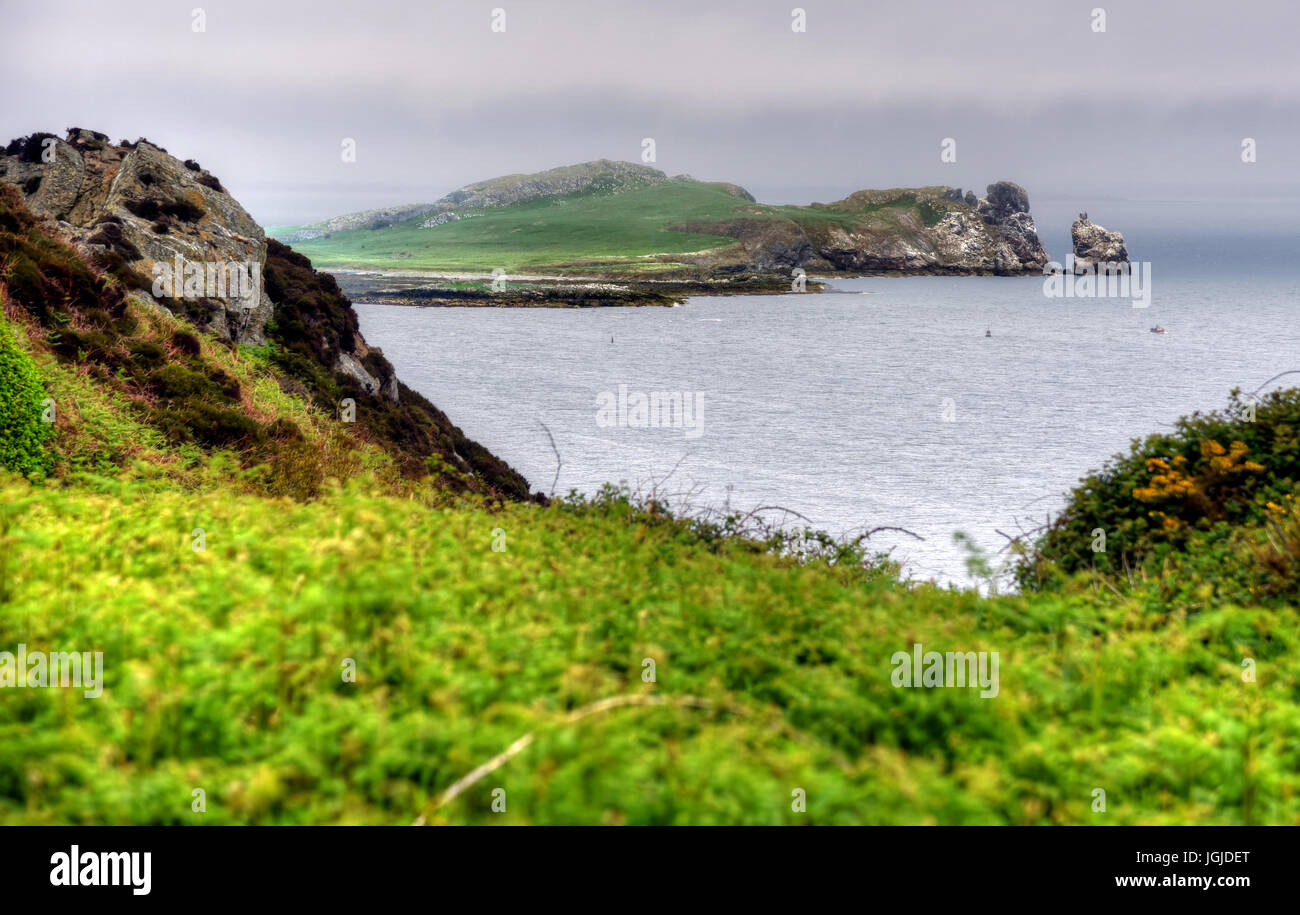 The Howth Cliff Walk outside of Dublin, Ireland Stock Photo - Alamy