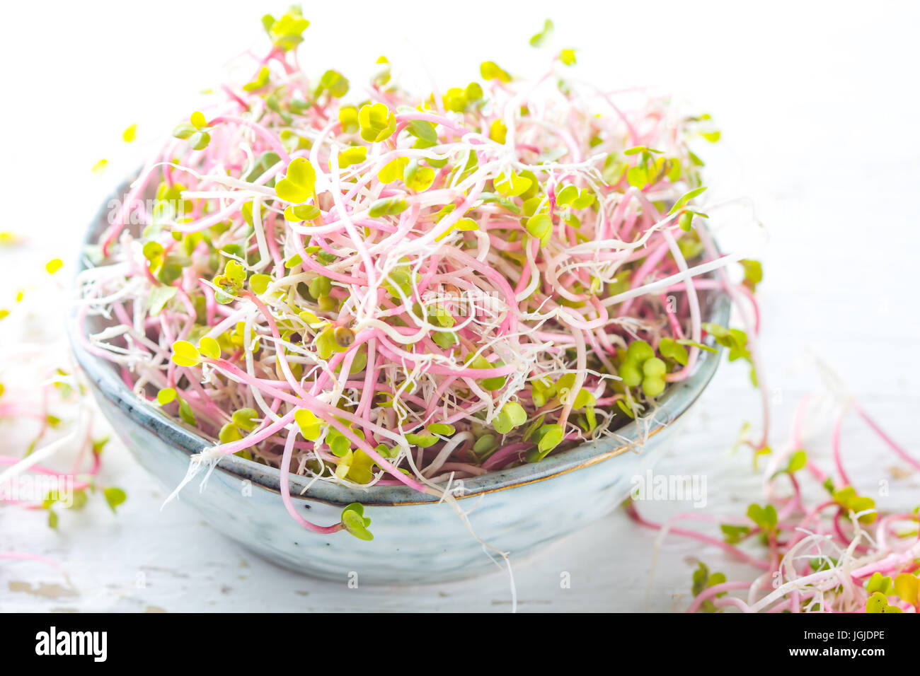 Microgreen. Sprouts of radish in gray bowl Stock Photo - Alamy