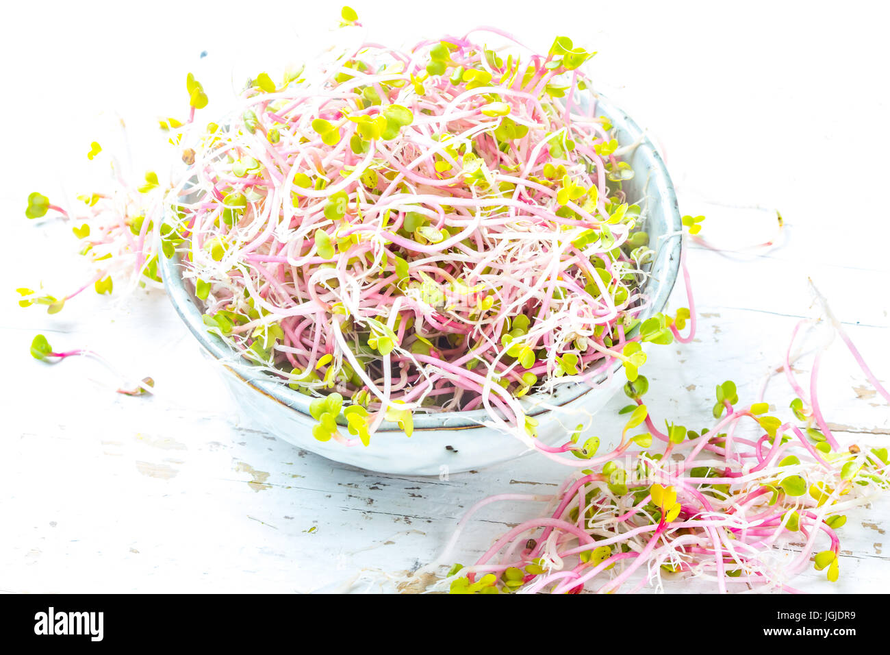 Microgreen. Sprouts of radish in gray bowl Stock Photo - Alamy