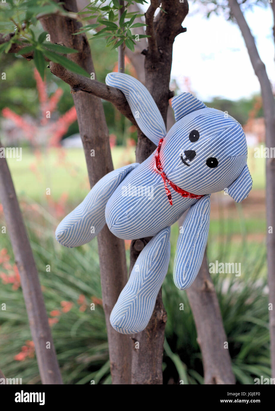 A hand-made blue striped teddy bear swings from a crape myrtle tree in ...