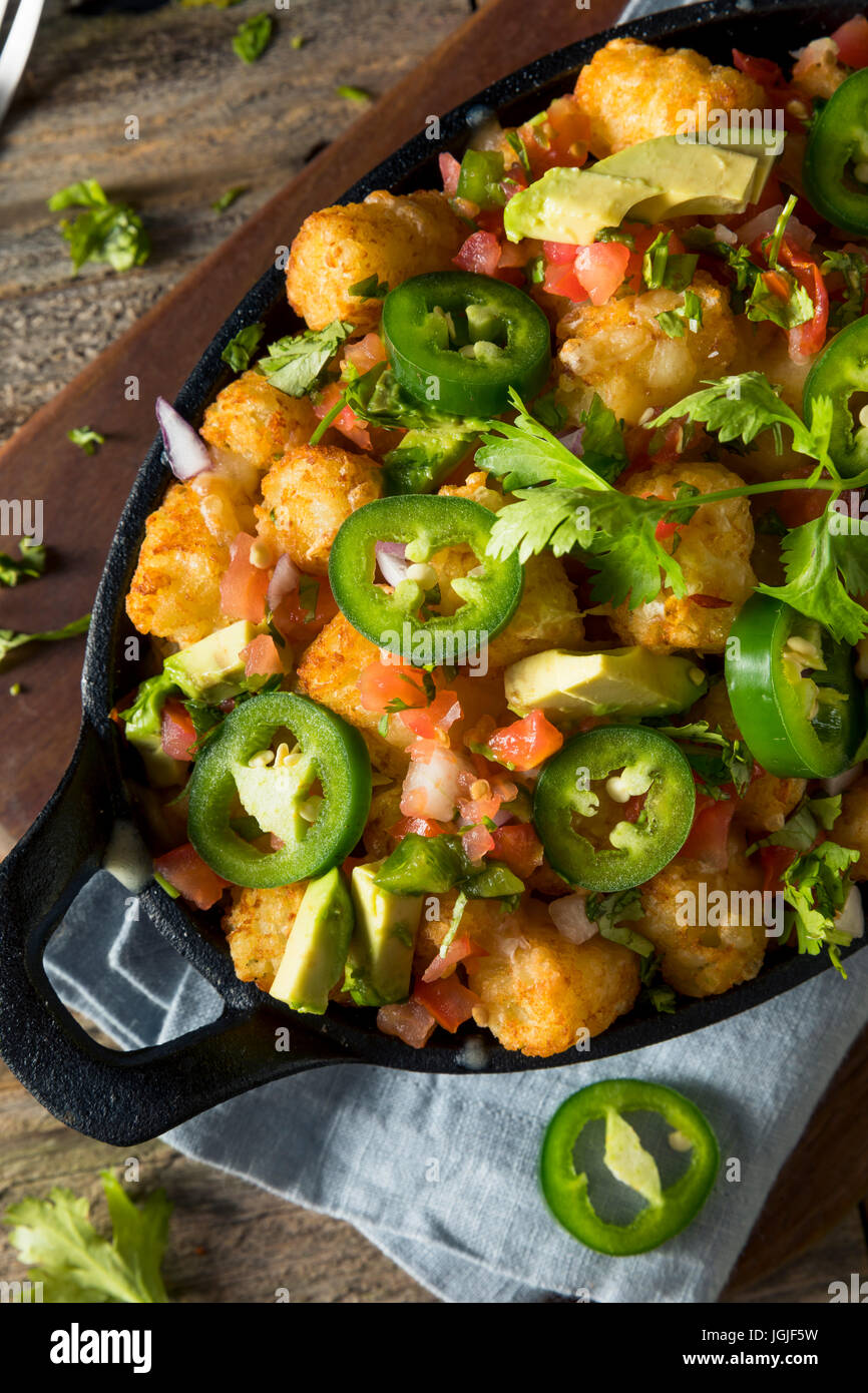 Homemade Mexican Tater Tot Nachos Tachos with Cheese Cilantro and ...
