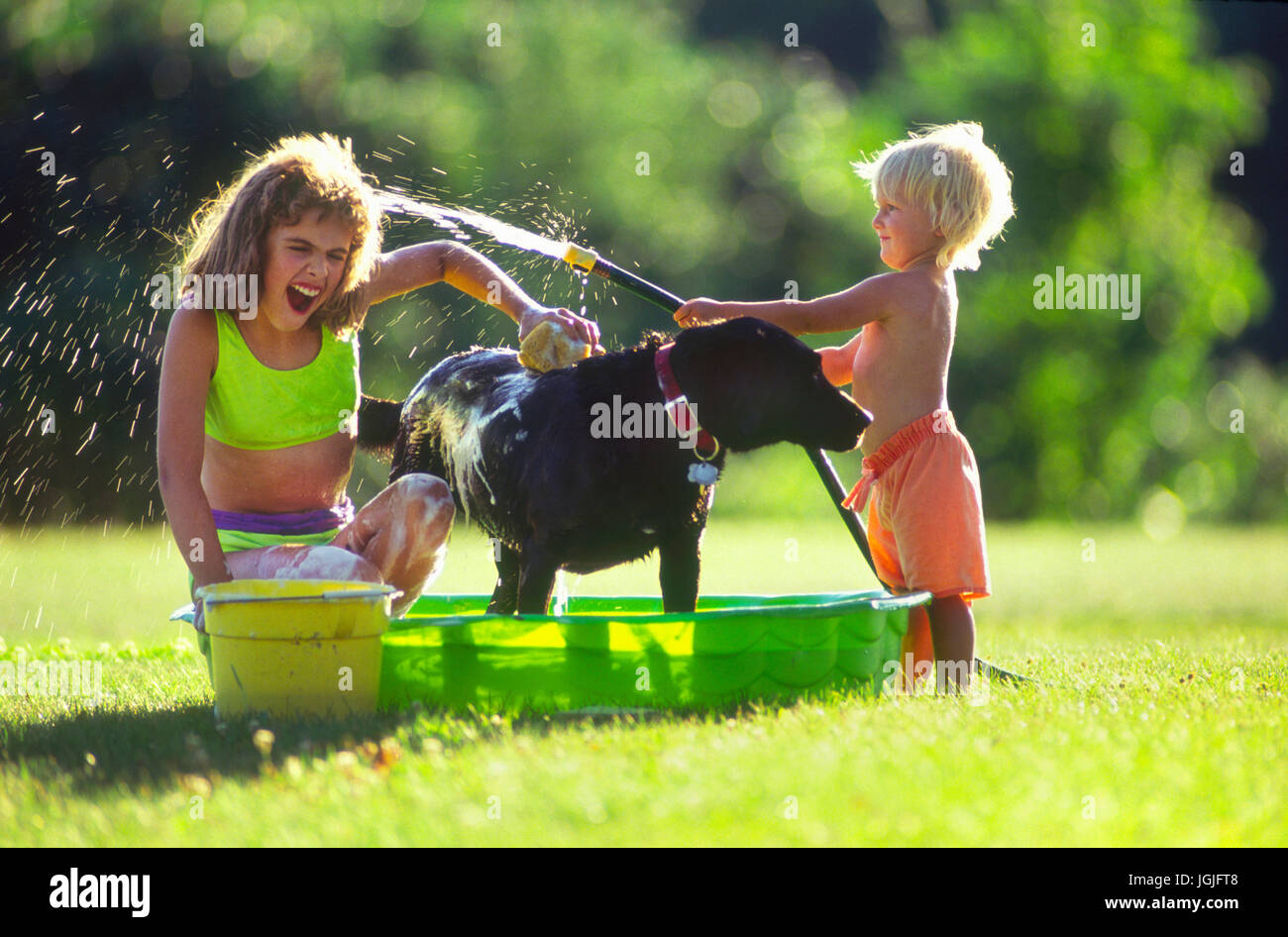 Washing the Dog Stock Photo - Alamy