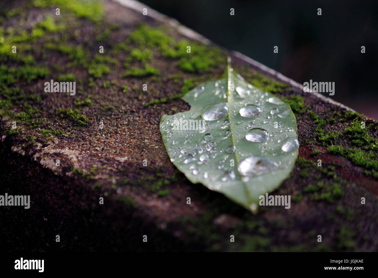 Formation Of Water Drops High Resolution Stock Photography and Images ...