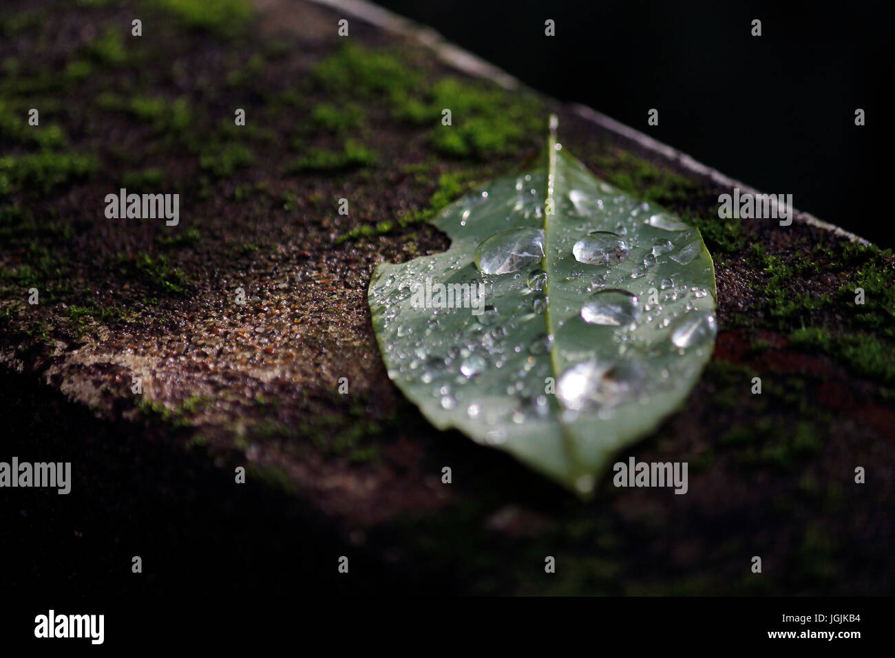 Glowing water hi-res stock photography and images - Alamy