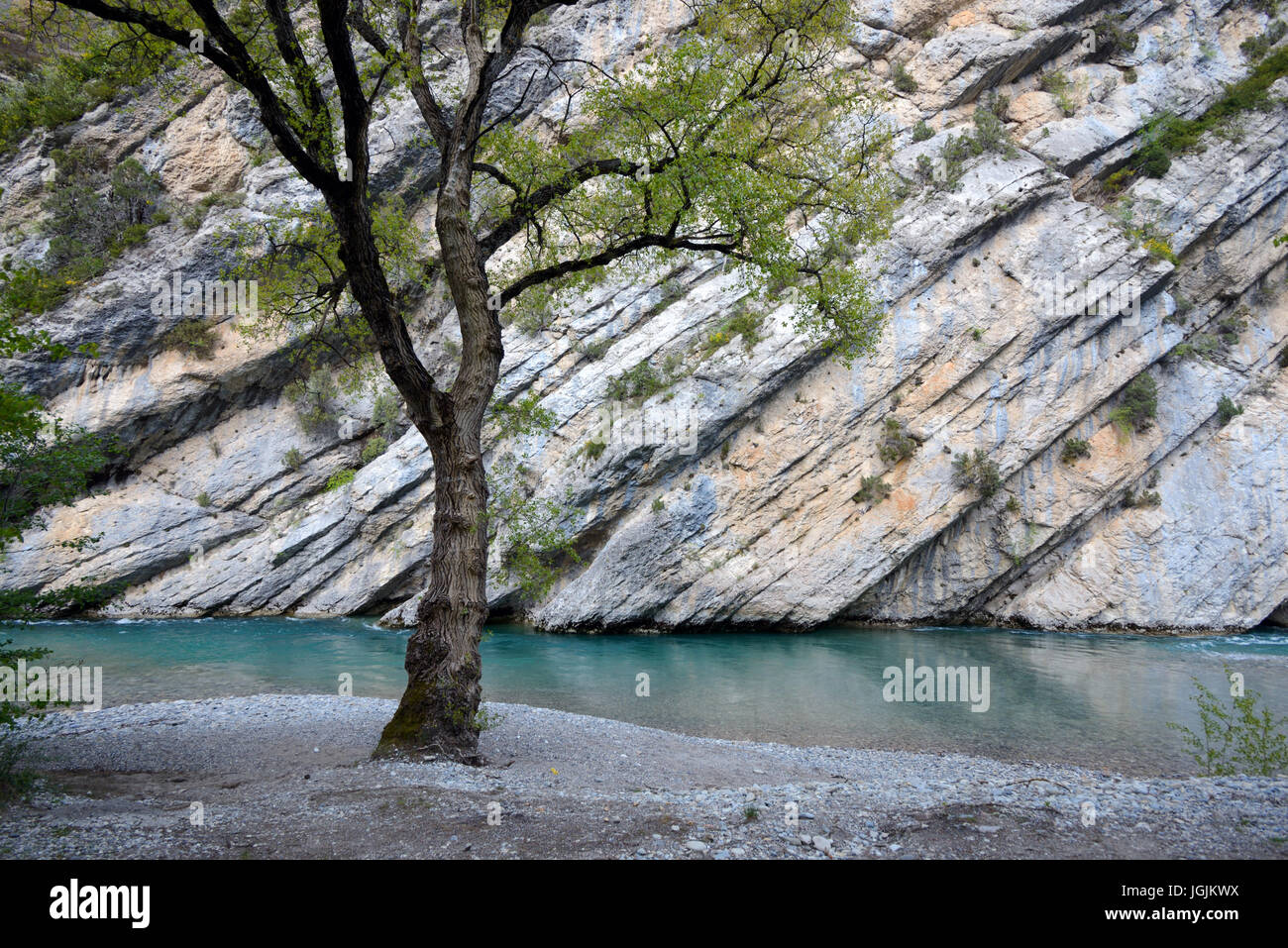 Gorge tree hi-res stock photography and images - Alamy