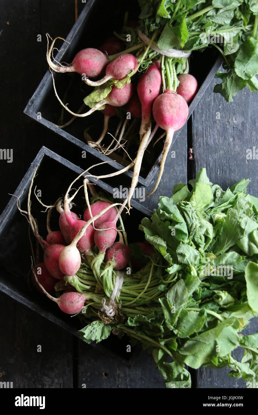Radish in a wooden box on the table. Organic vegetables Stock Photo - Alamy