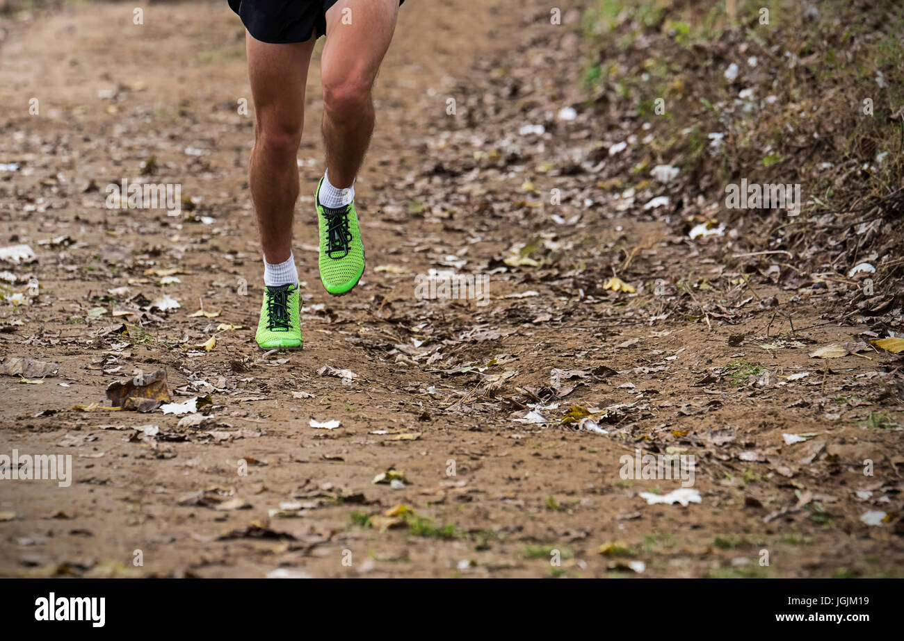 Athletics race forest hi-res stock photography and images - Alamy