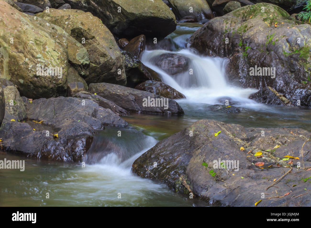 rainforest waterfall and rocks covered with moss Stock Photo - Alamy