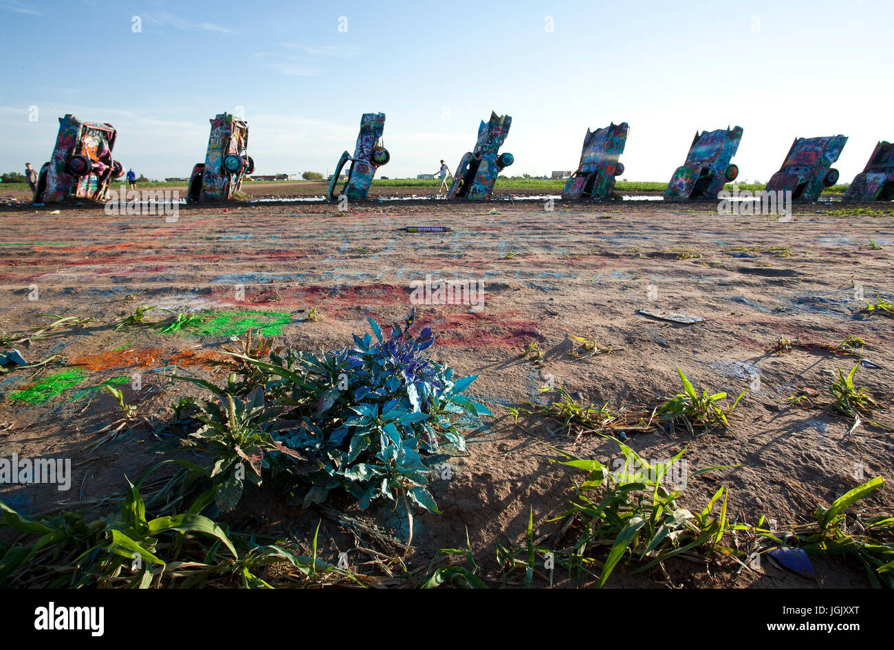 Corn Ranch Texas High Resolution Stock Photography and Images - Alamy