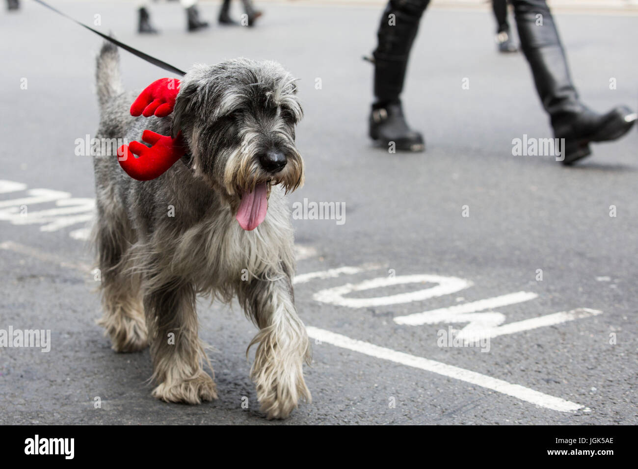London, UK. 8th July, 2017. A "hot" dog in the 2017 Pride in London ...