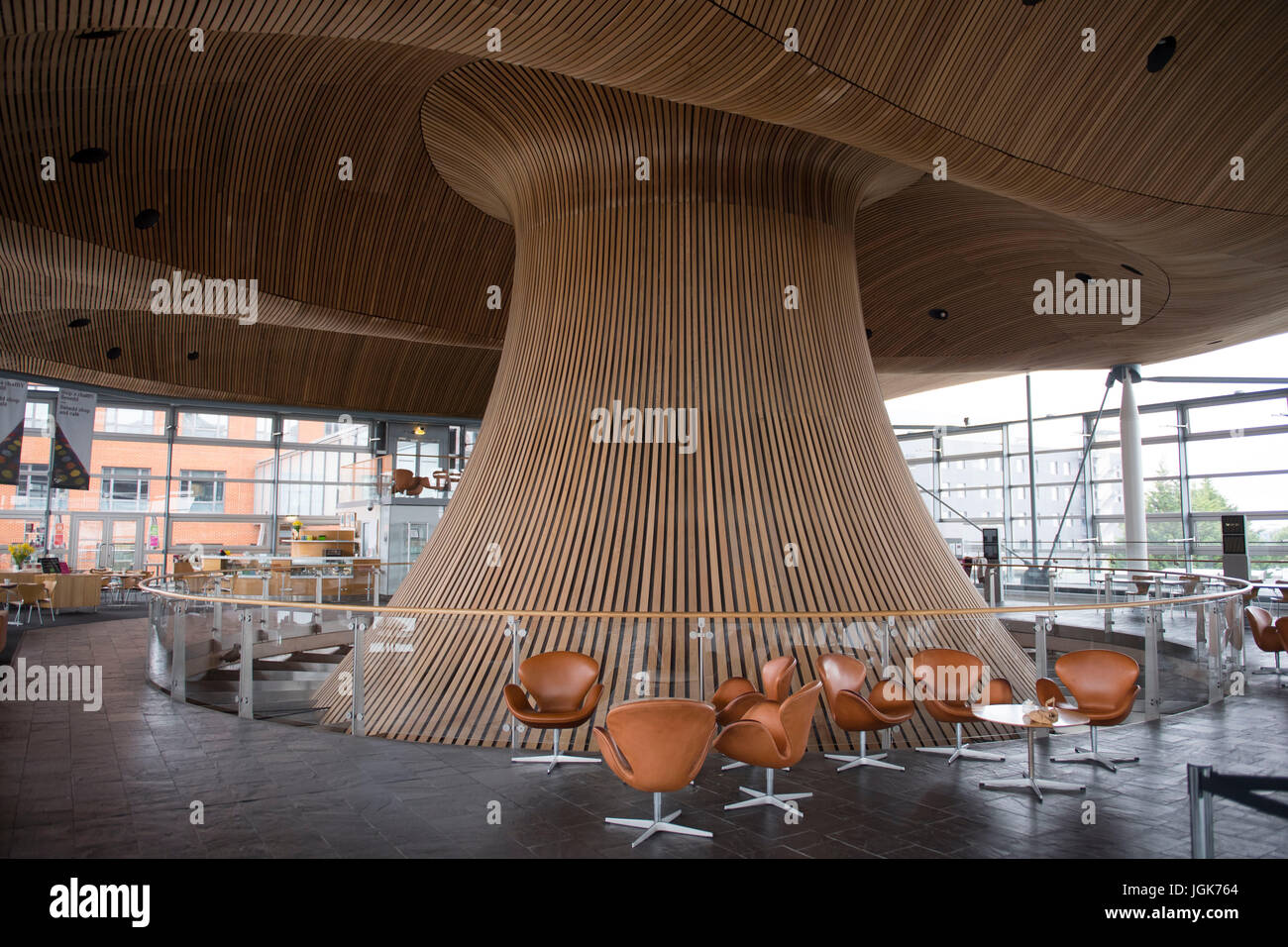Interior view of the Senedd at Cardiff Bay, Wales, UK Stock Photo - Alamy