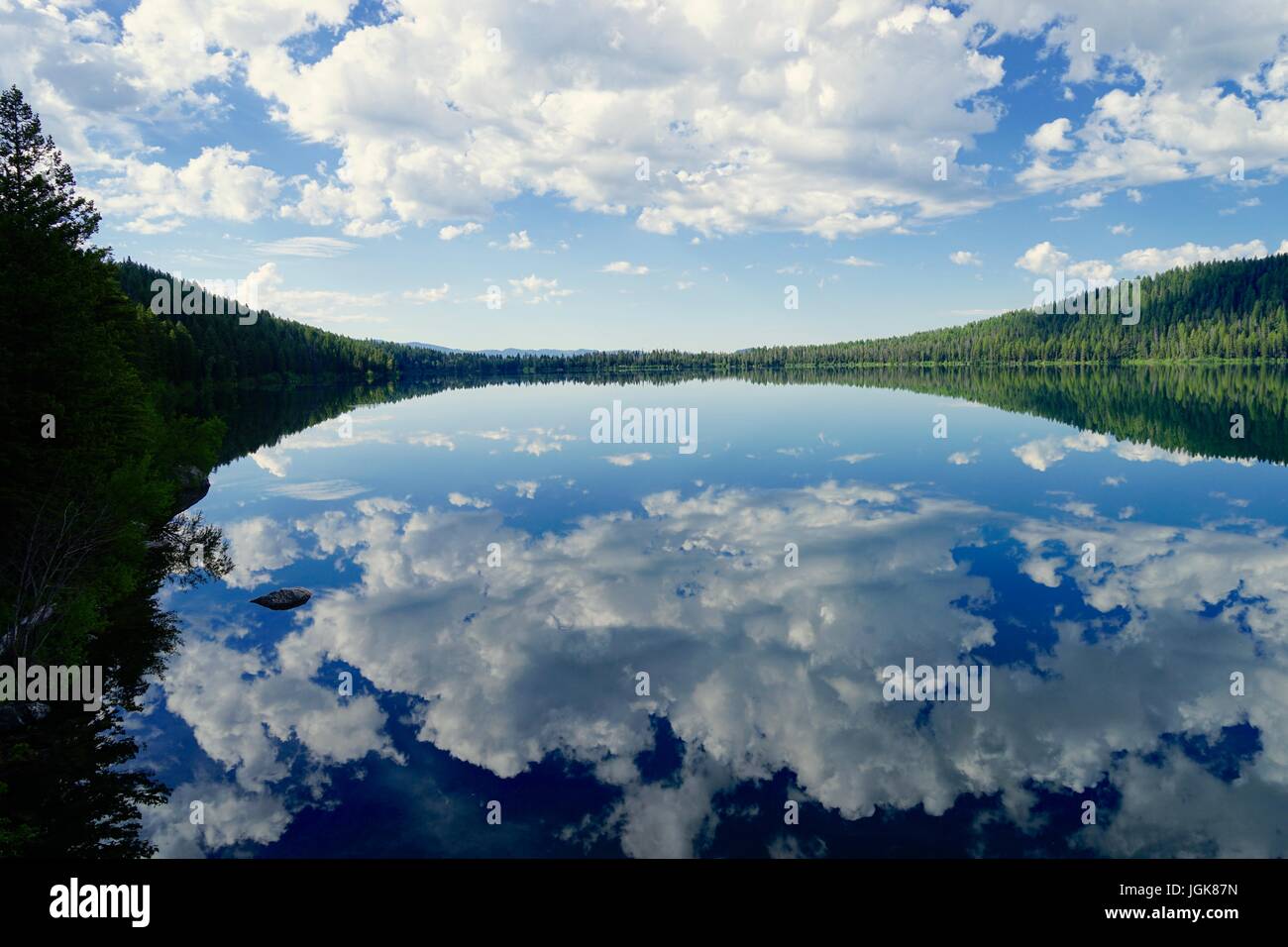 Symmetry in nature hi-res stock photography and images - Alamy