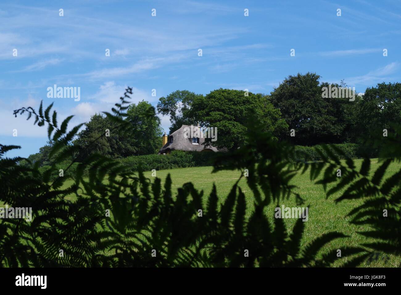 Tumbly Cottage, Old Thatched Cottage in the devon Countryside on a ...