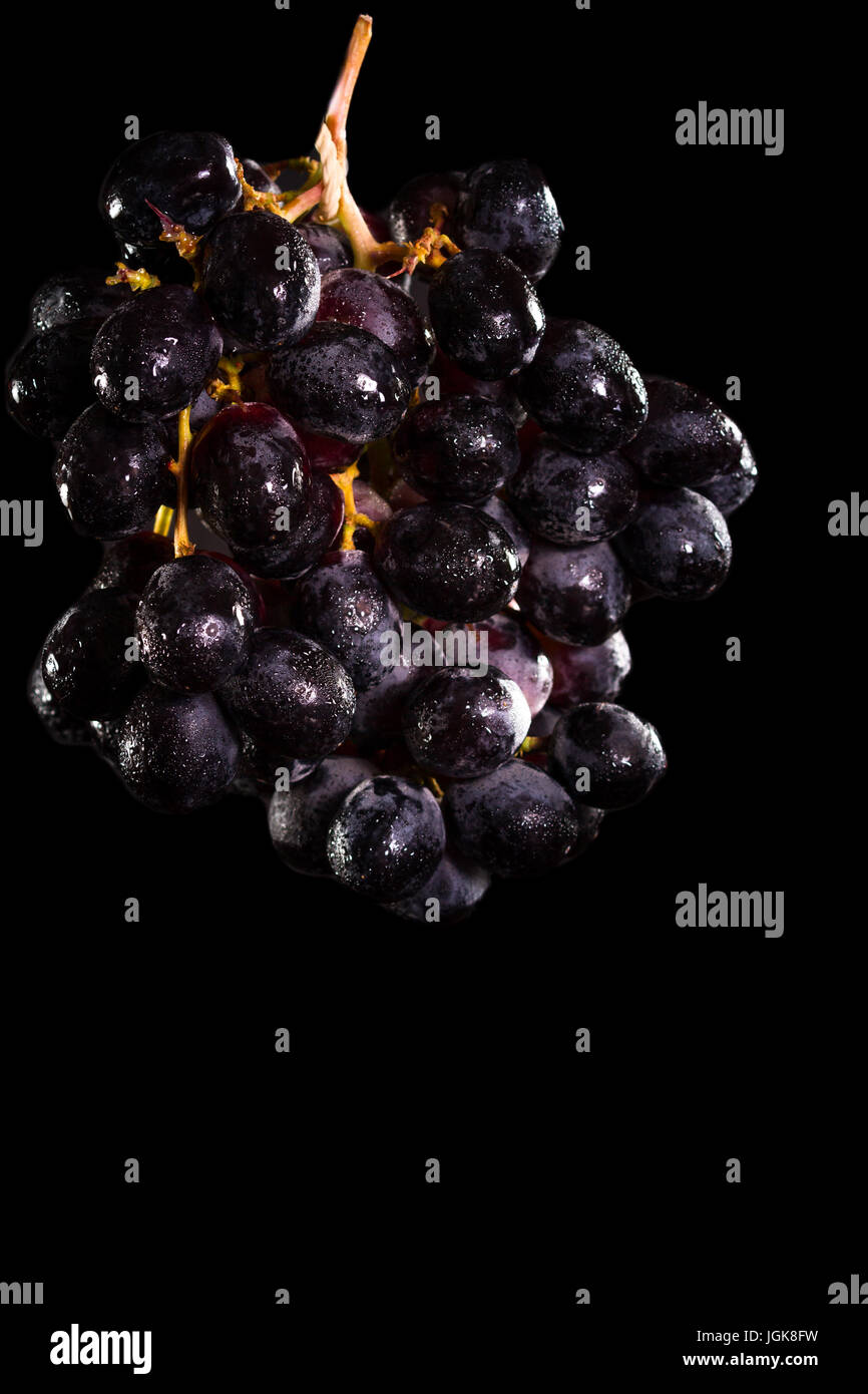 close up of a bunch of dark purple grapes hanging over a black ...