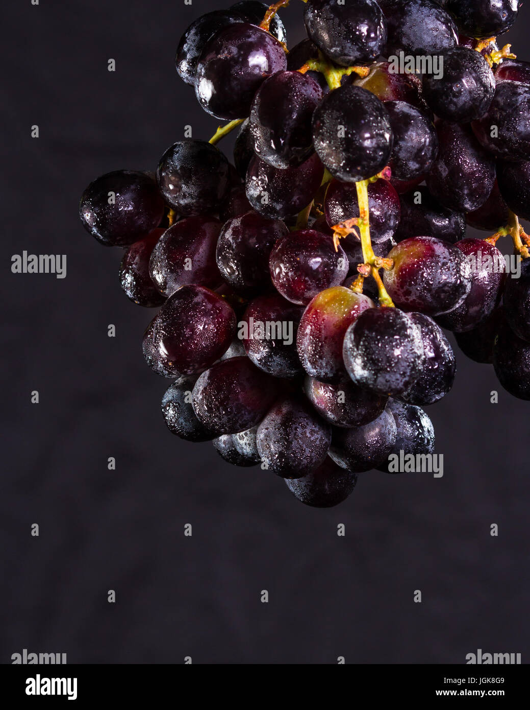 close up of a bunch of dark purple grapes hanging over a black ...