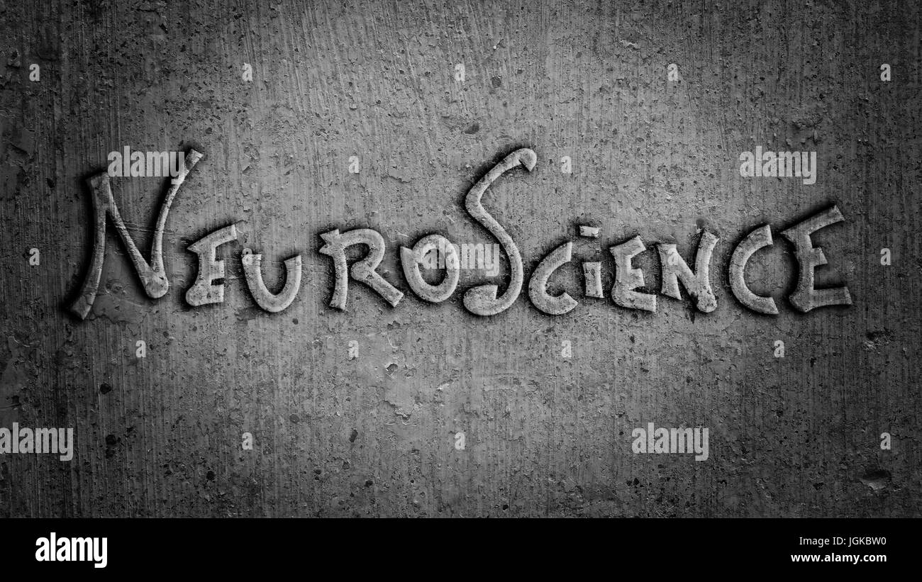 Neuroscience High Resolution Stock Photography and Images - Alamy