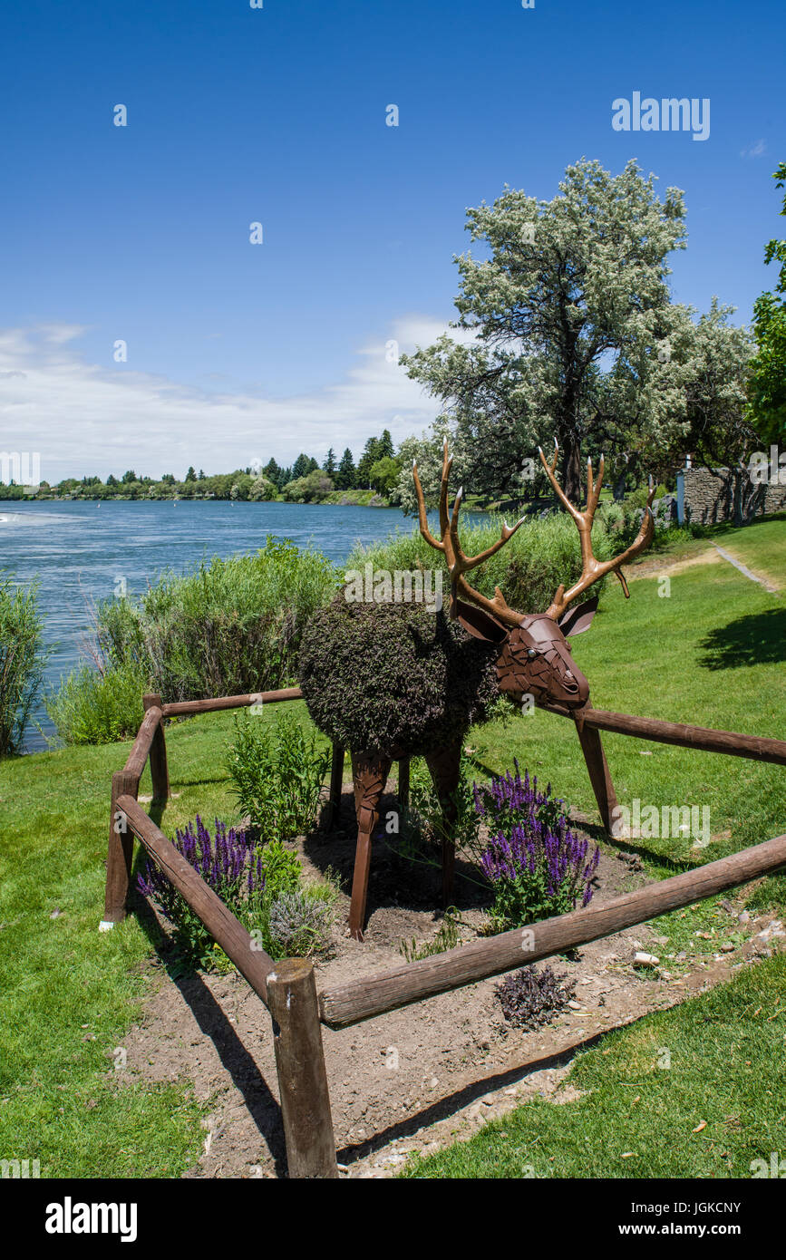 Metal statue of an elk on the greenbelt along the Snake River, Idhao ...