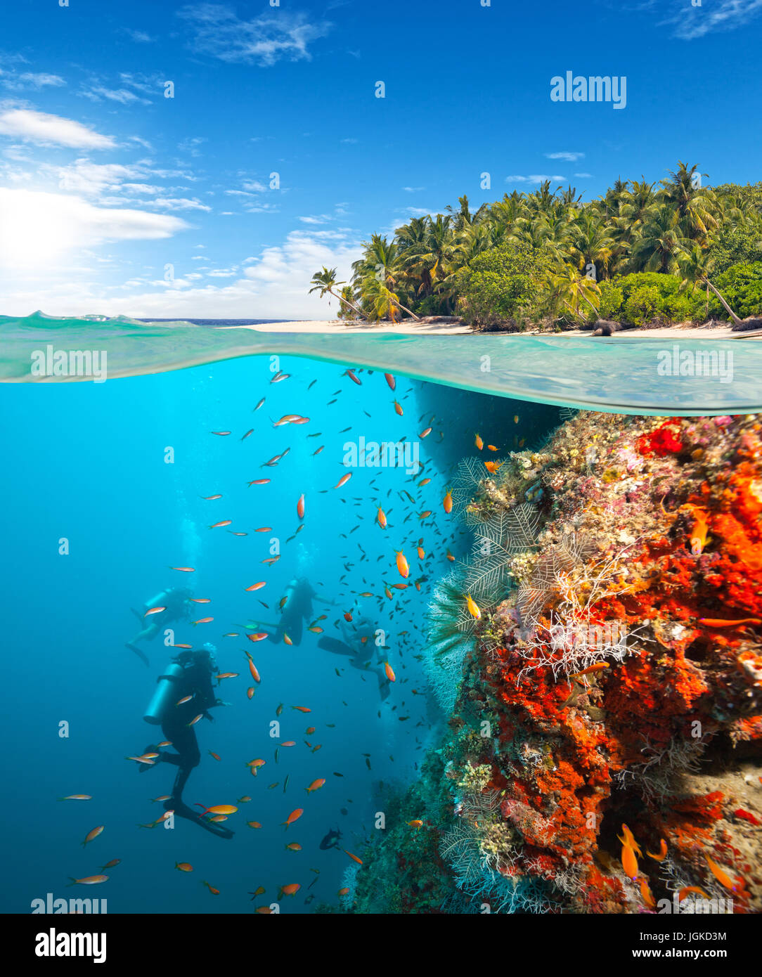 Scuba divers underwater exploring tropical hi-res stock photography and ...