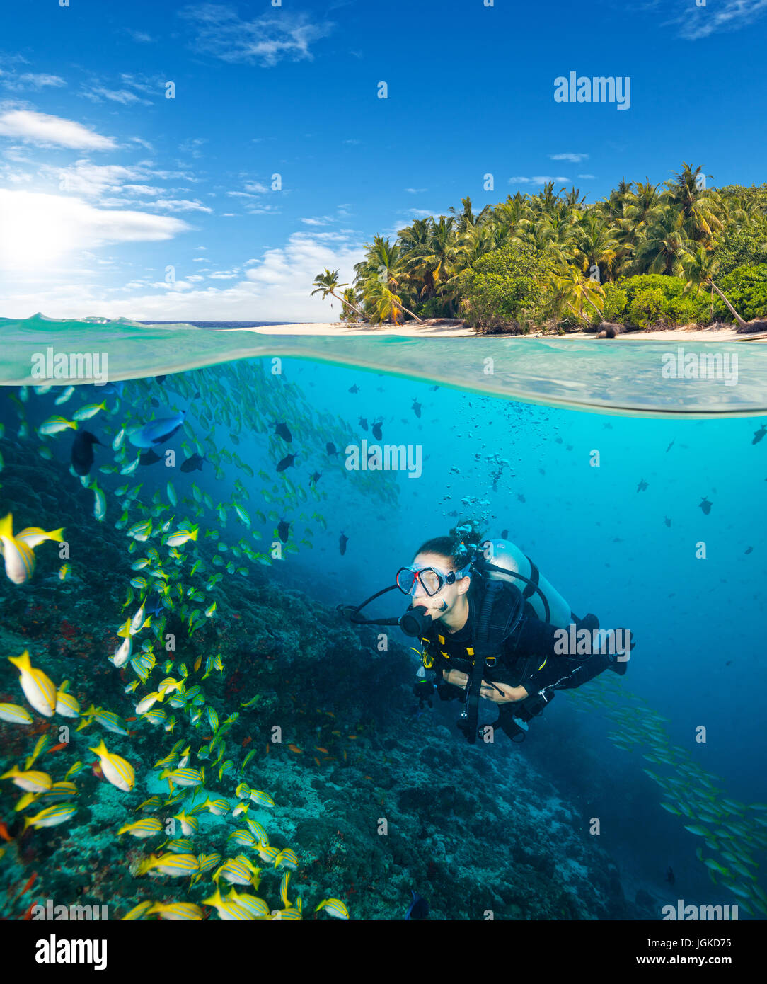 Half underwater wave hi-res stock photography and images - Alamy