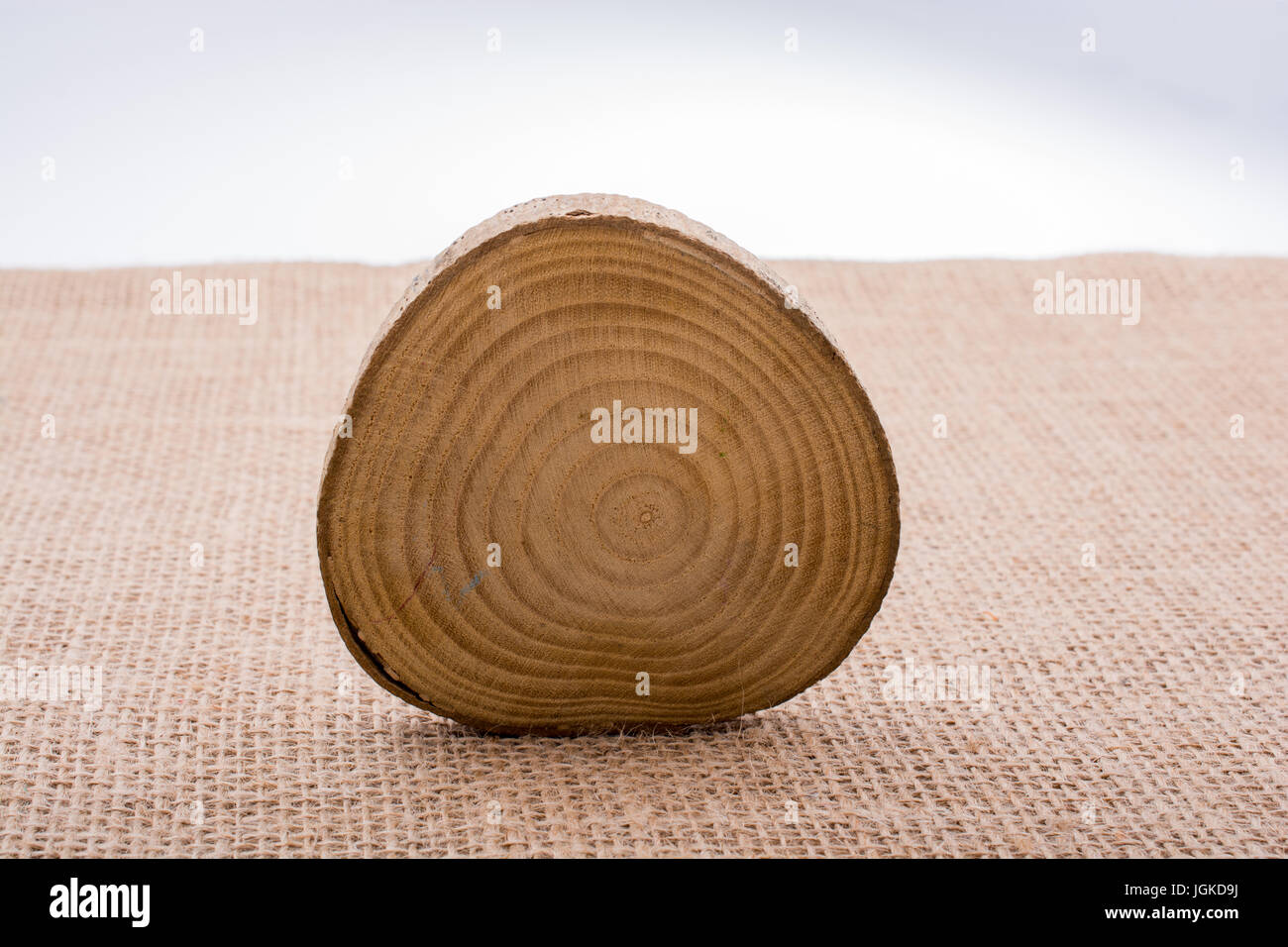 small piece of cut wood logs used for wood texture background Stock ...