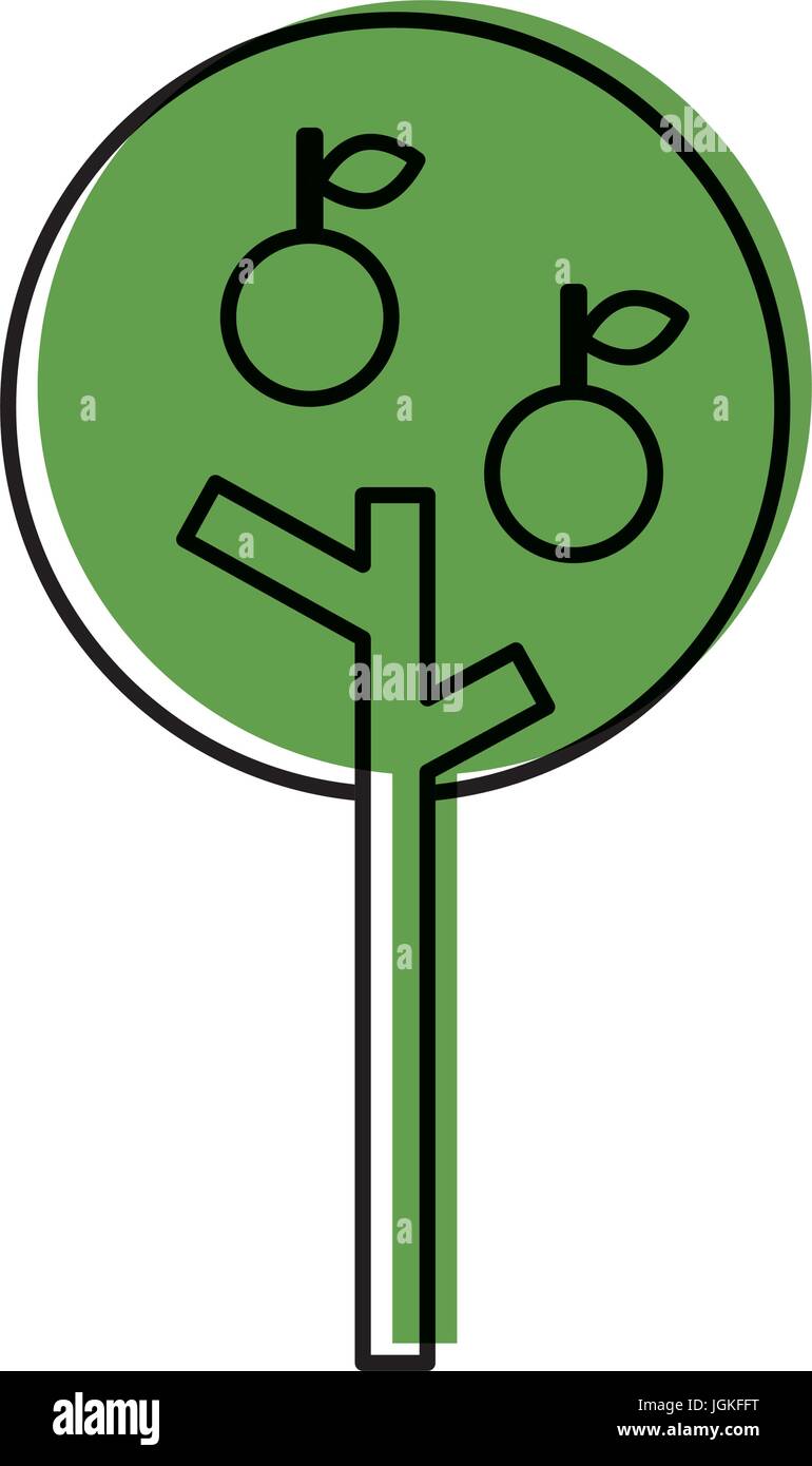 apple tree isolated icon Stock Vector Image & Art - Alamy