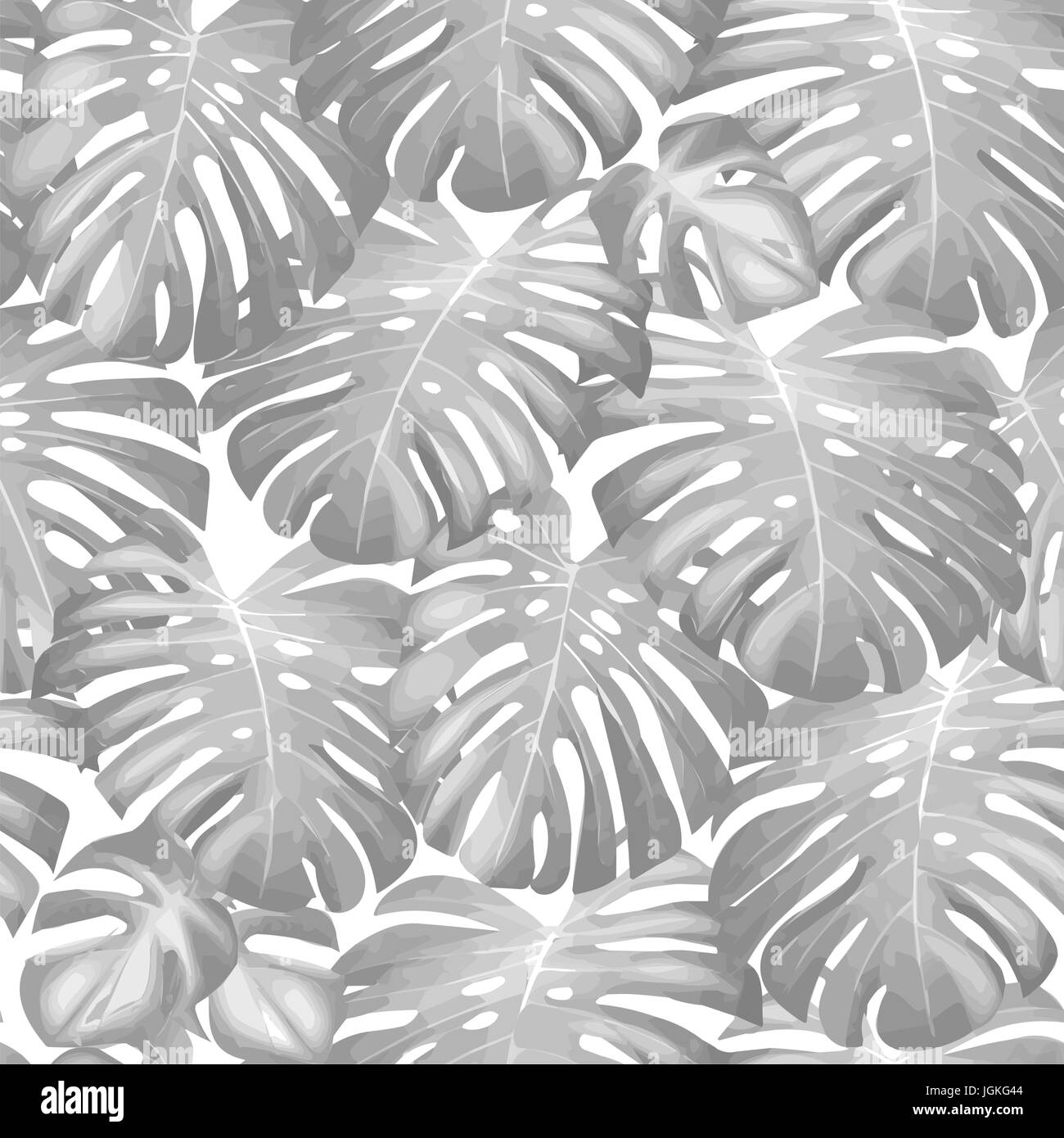 Dark green monstera palm Black and White Stock Photos & Images - Alamy