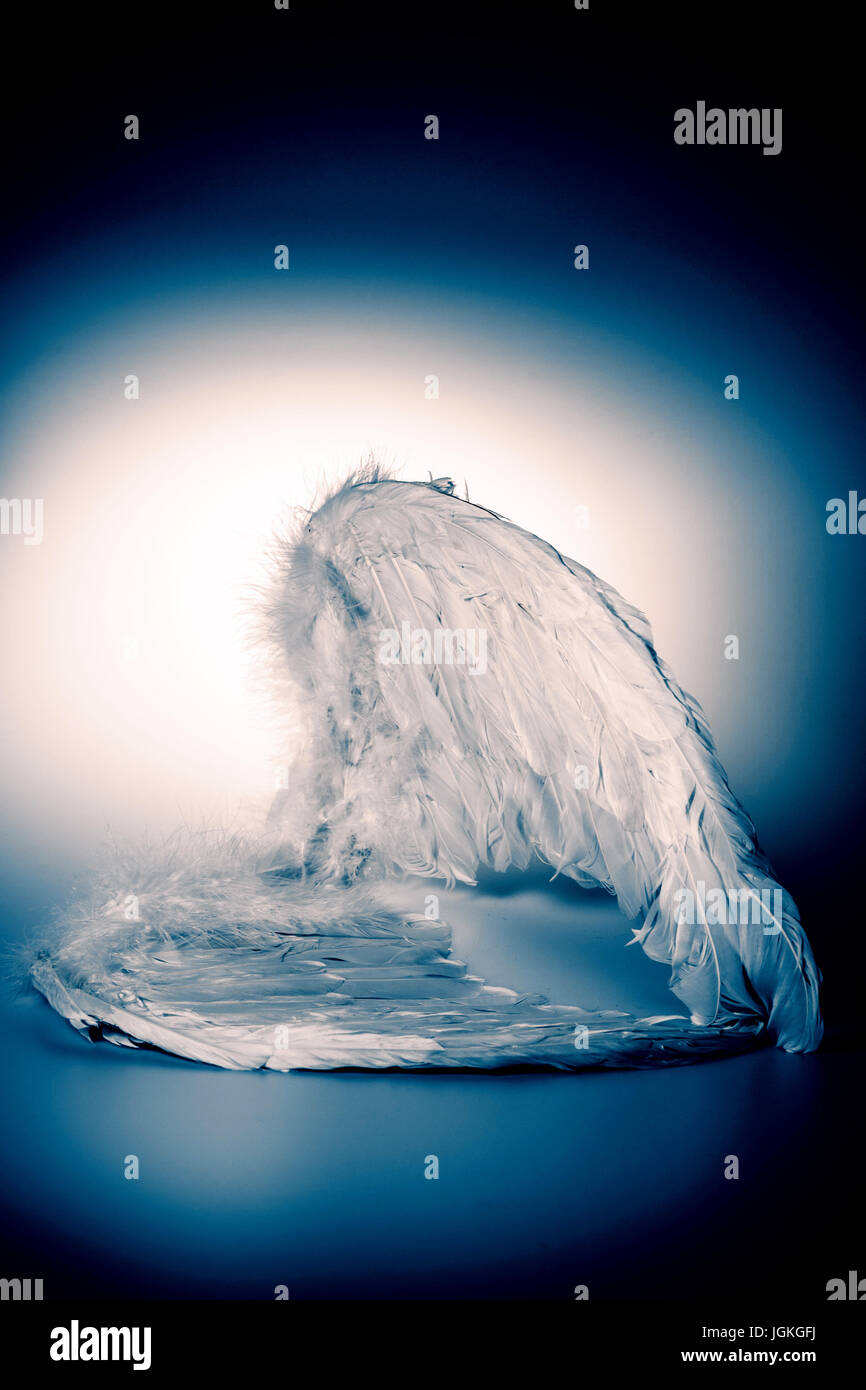 angel's wings on white background with glow - looks like a fallen angel ...