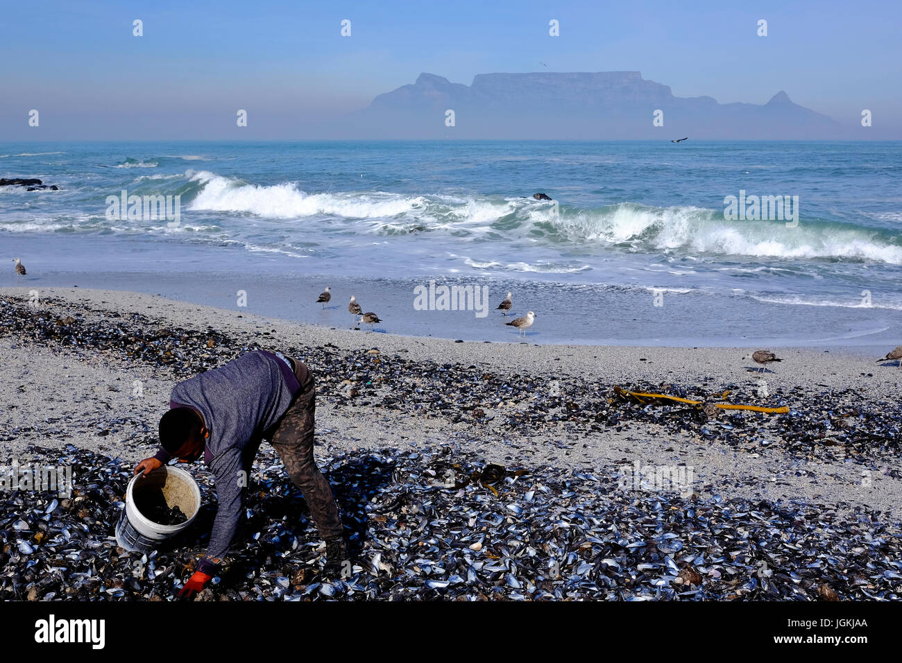 Paul gregg photographer hi-res stock photography and images - Alamy