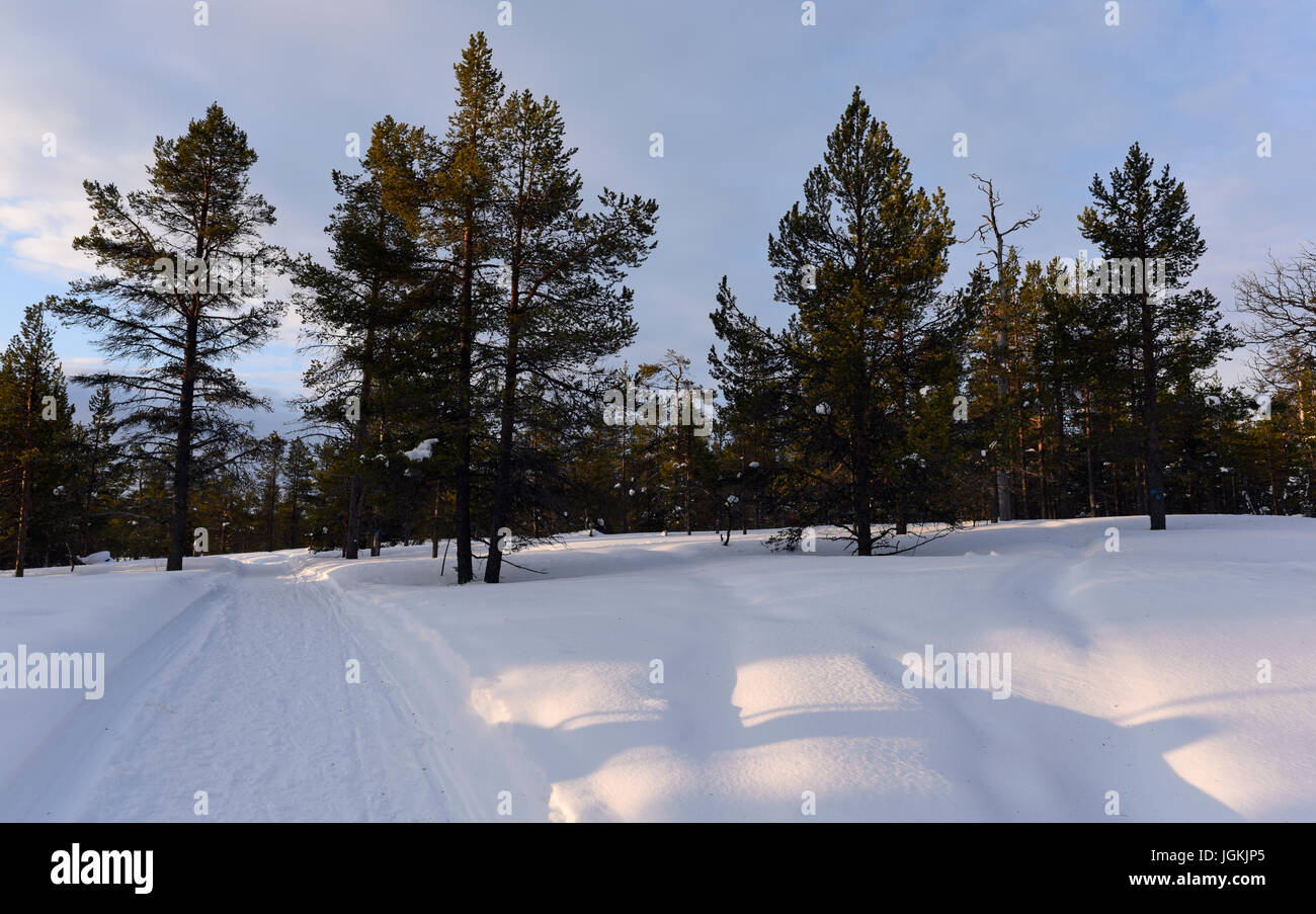Morning in early spring near Muotkan Maja Lodge in Finnish Lapland ...