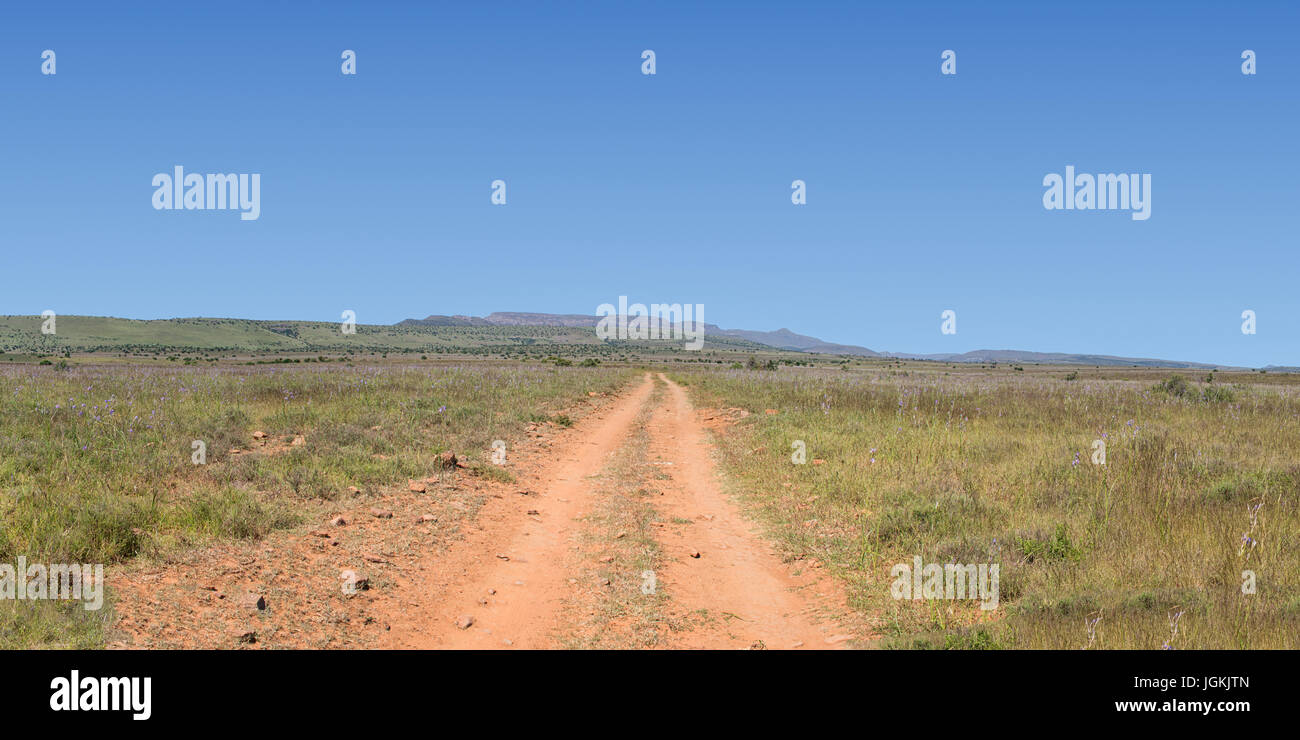 A landscape from the Eastern Cape savanna, South Africa Stock Photo - Alamy