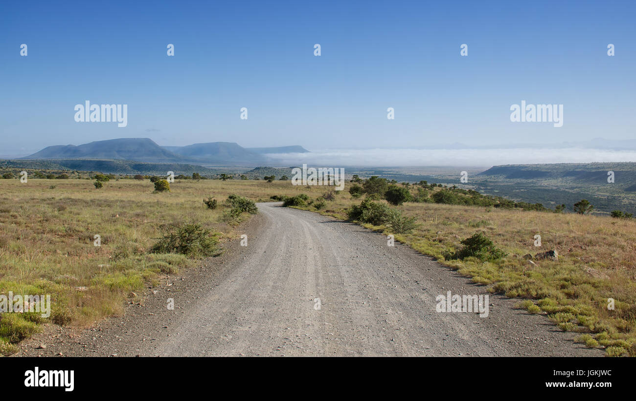 A landscape from the Eastern Cape savanna, South Africa Stock Photo - Alamy