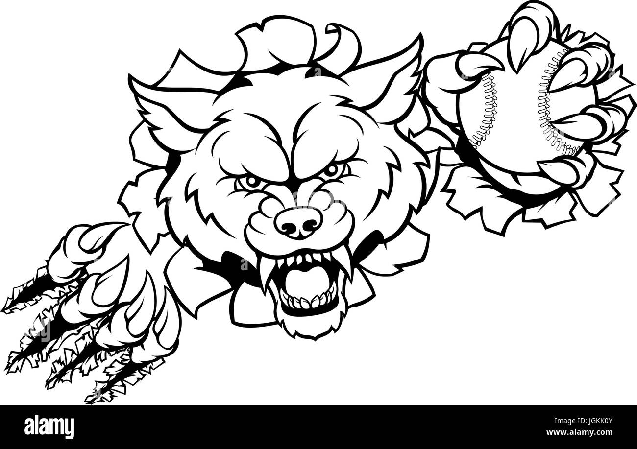 Wolf Baseball Mascot Breaking Background Stock Vector Image & Art - Alamy